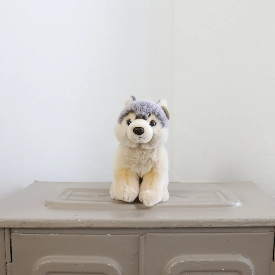 BON TON TOYS WWF WOLF – WWFジャパン PANDA SHOP